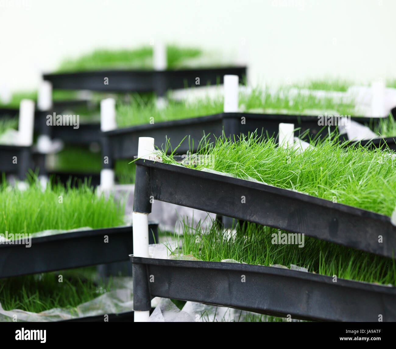 eco, environment, enviroment, model, design, project, concept, plan ...