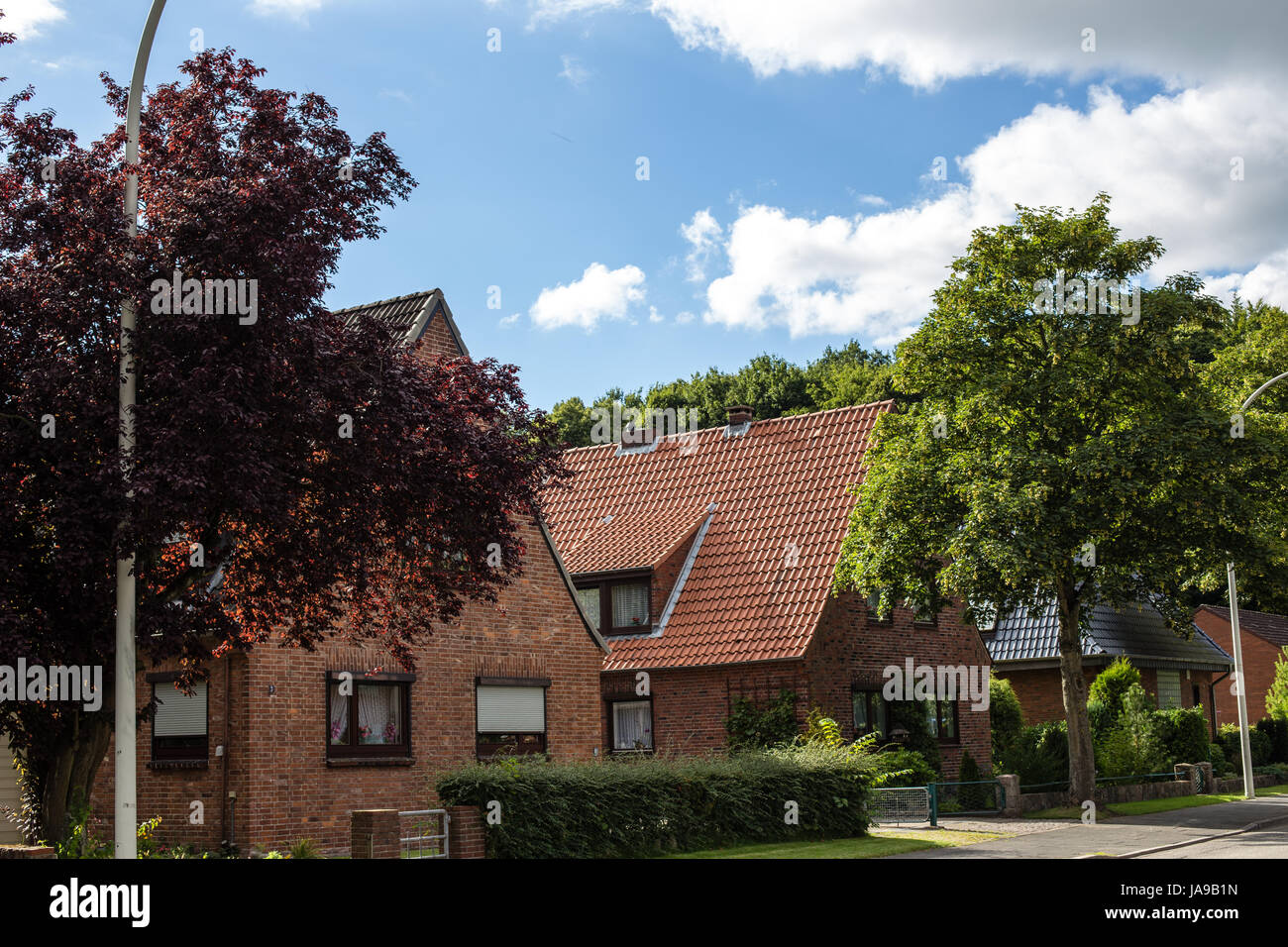 tenements, colony, houses, tree, trees, window, porthole, dormer window ...