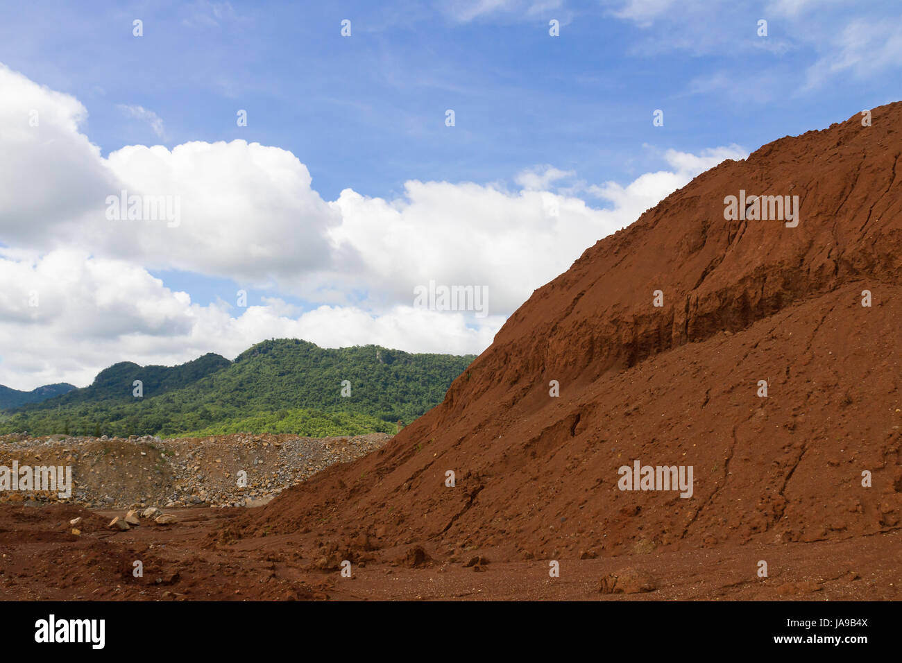blue, tree, trees, ground, soil, earth, humus, cloud, summer, summerly ...