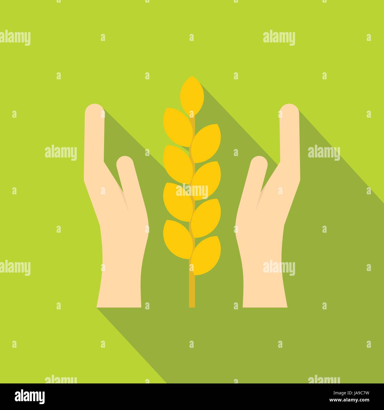 Hands and ear of wheat icon, flat style Stock Vector Image & Art - Alamy