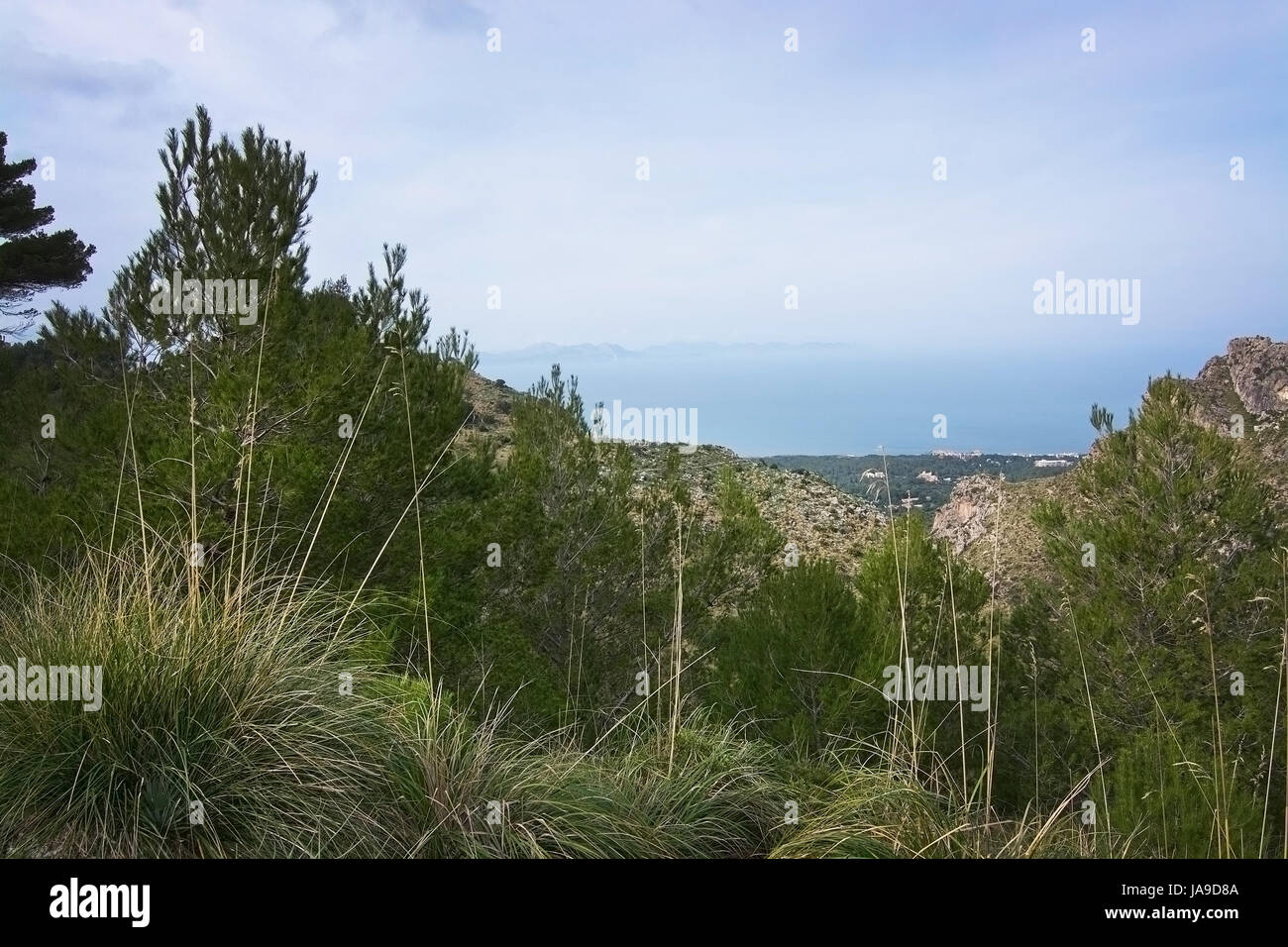 Green spring mountain landscape in Mallorca, Balearic islands, Spain ...