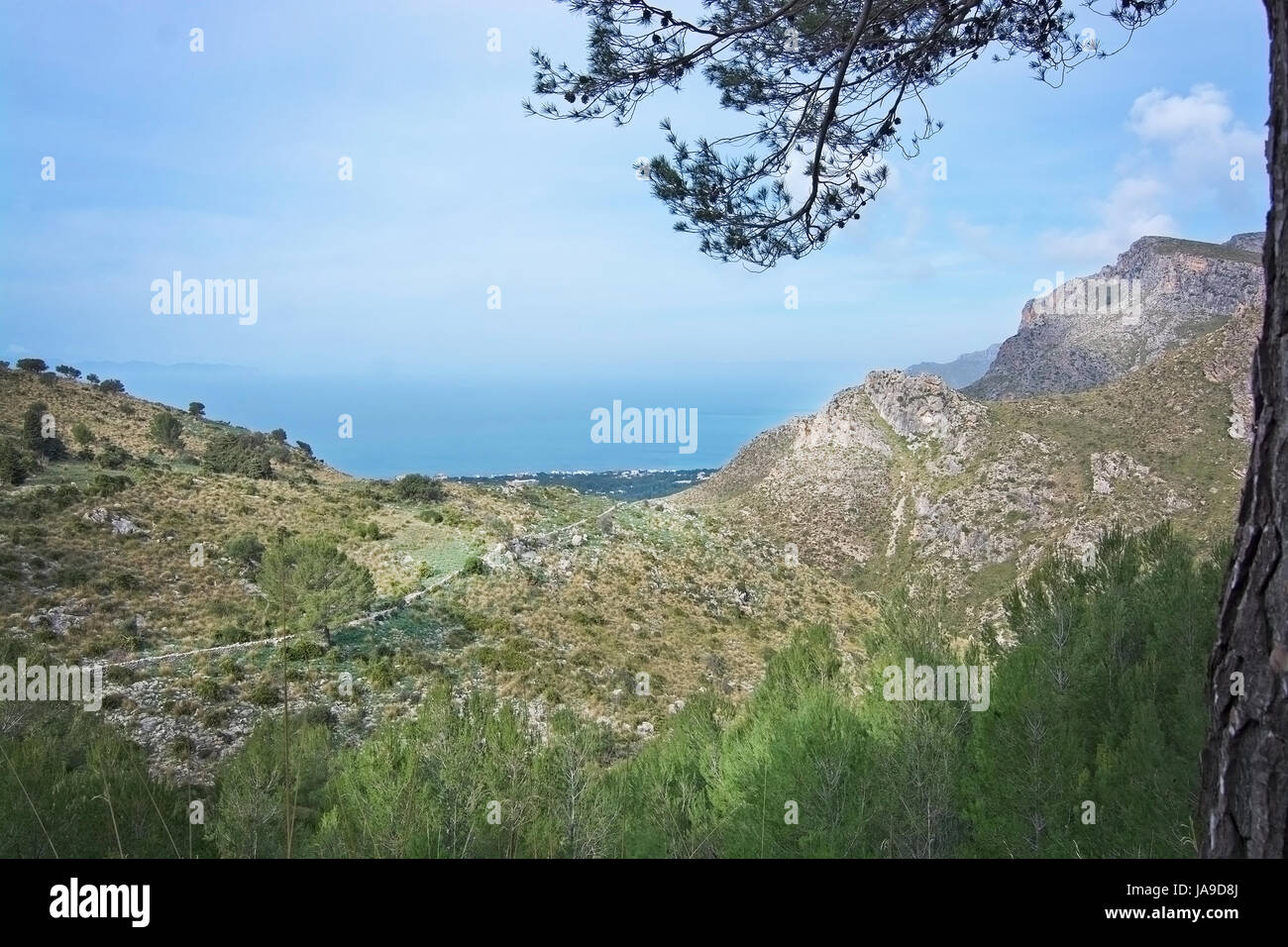 Green spring mountain landscape in Mallorca, Balearic islands, Spain ...