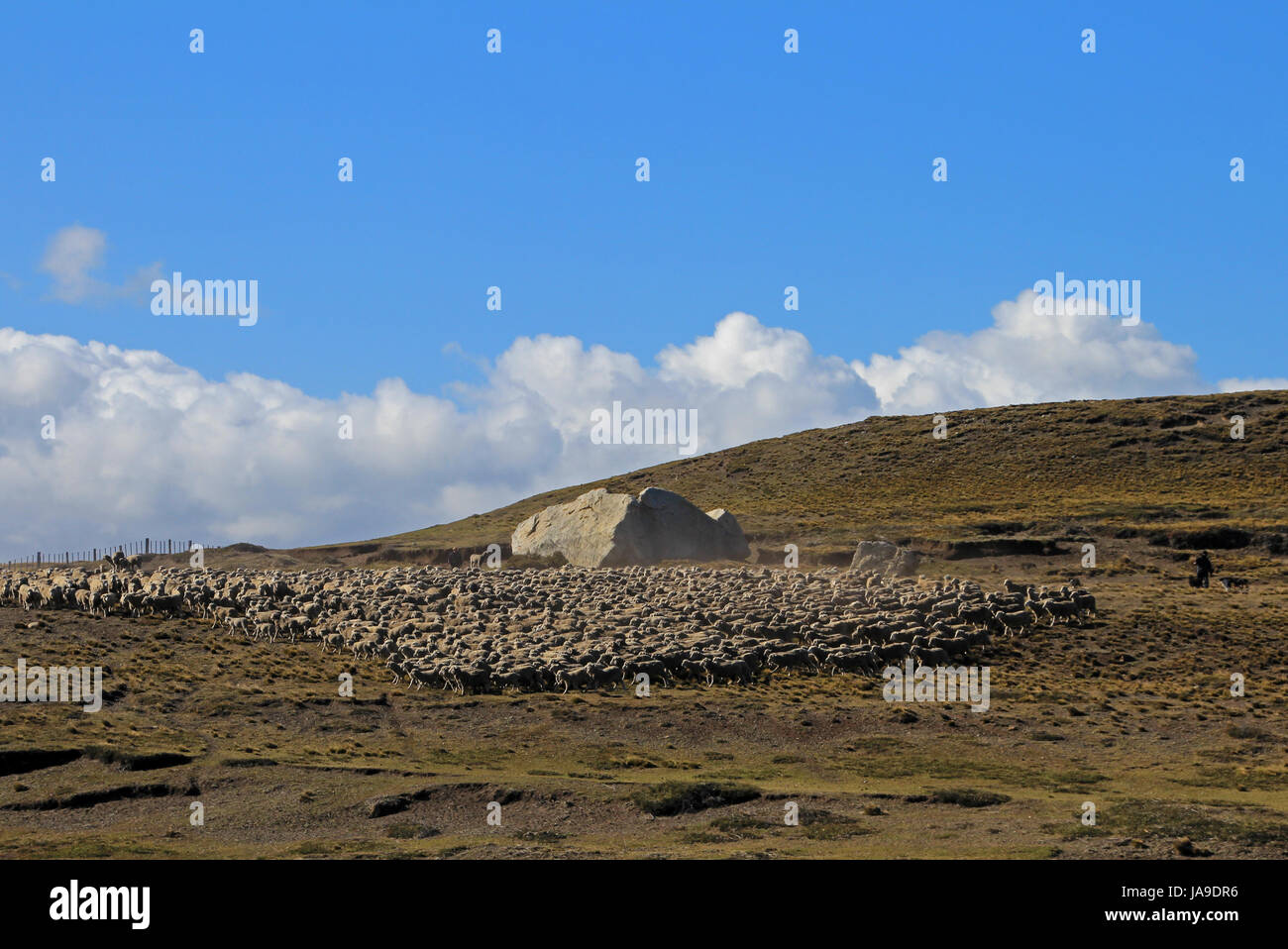 Gaucho shepherd horse chile hi-res stock photography and images - Alamy