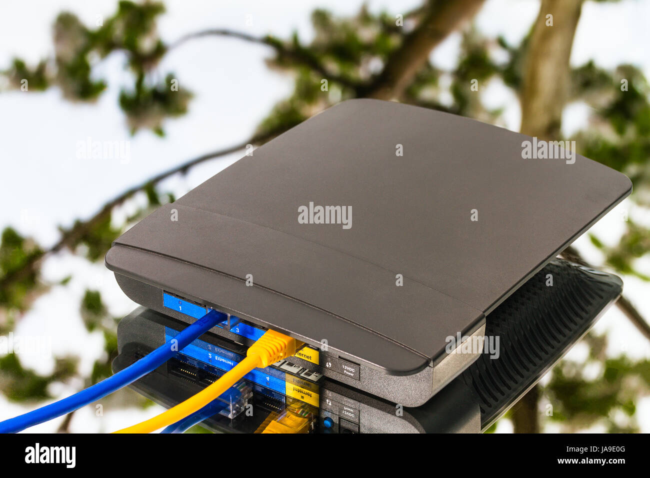 black wireless router, yellow and blue ethernet cables on mirror ...