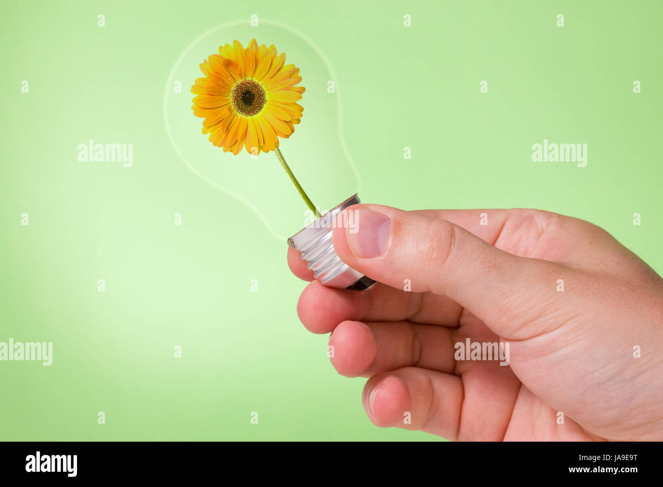 inside, eco, environment, enviroment, model, design, project, concept ...