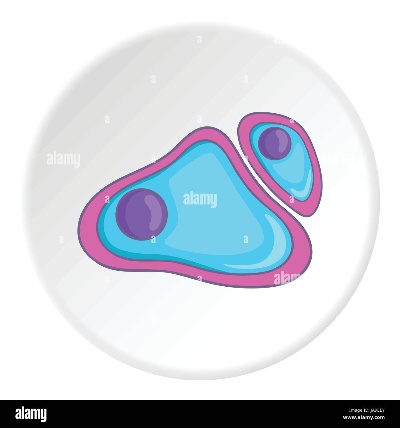 Cell Nucleus Cartoon