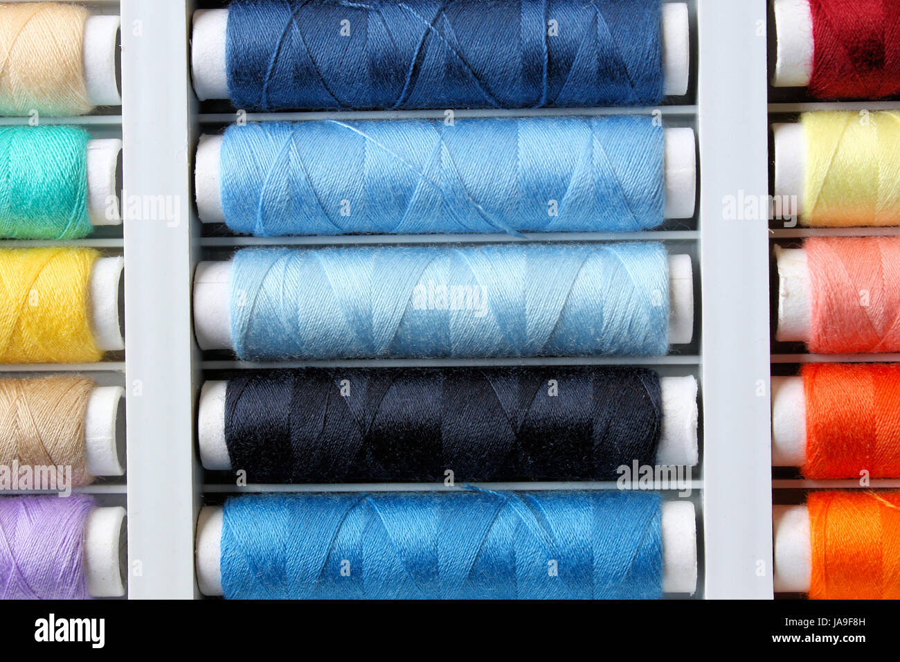 yarn, sewing thread, cotton, blue, flower, rose, plant, coloured ...