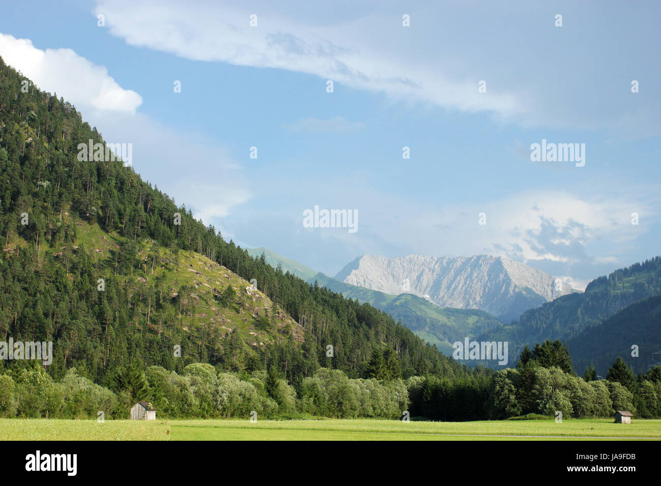 mountains, green, summer, summerly, tyrol, meadow, scenery, countryside ...