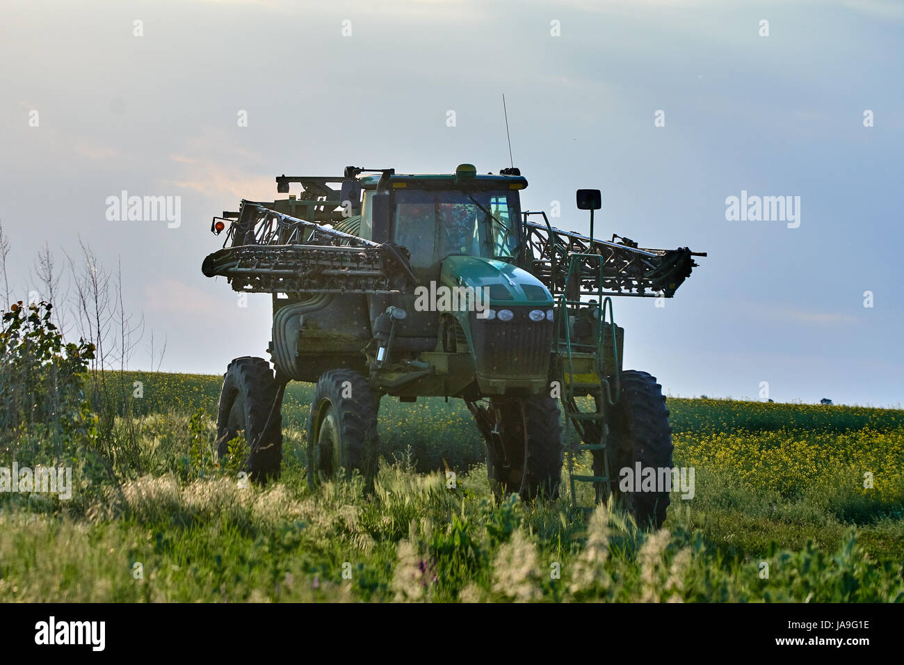 Big tractor with huge ground clearance used for spraying pesticides on ...