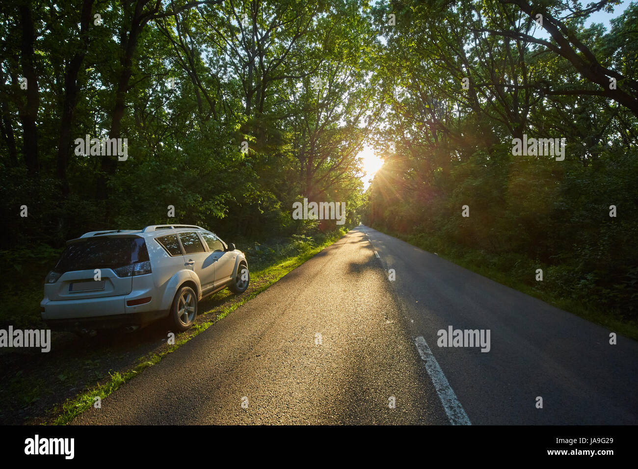SUV car on the side of the road in the forest Stock Photo - Alamy