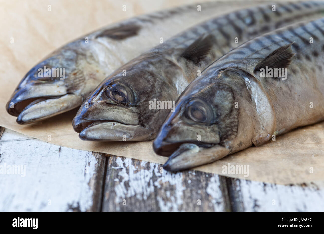fish, mackerel, herring, food, aliment, fish, freshness, horizontal ...