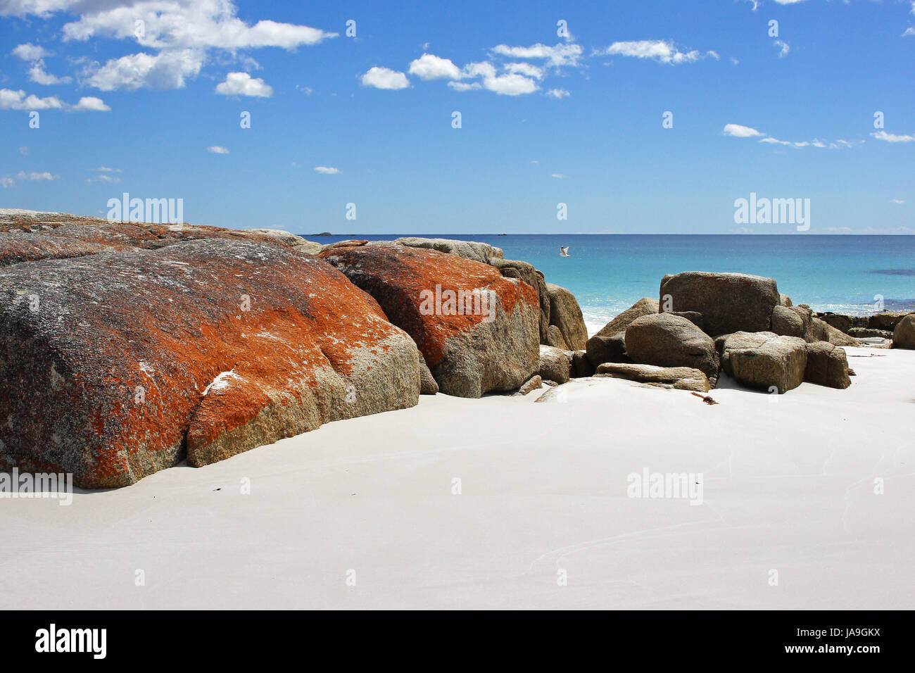 beach, seaside, the beach, seashore, australia, coast, scenery ...