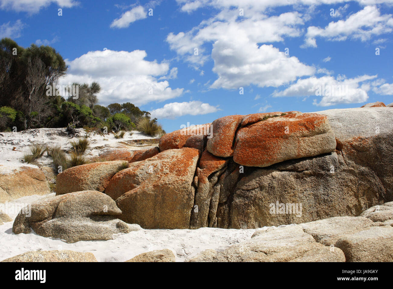 beach, seaside, the beach, seashore, australia, coast, scenery ...
