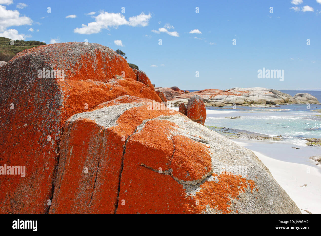 beach, seaside, the beach, seashore, australia, coast, scenery ...