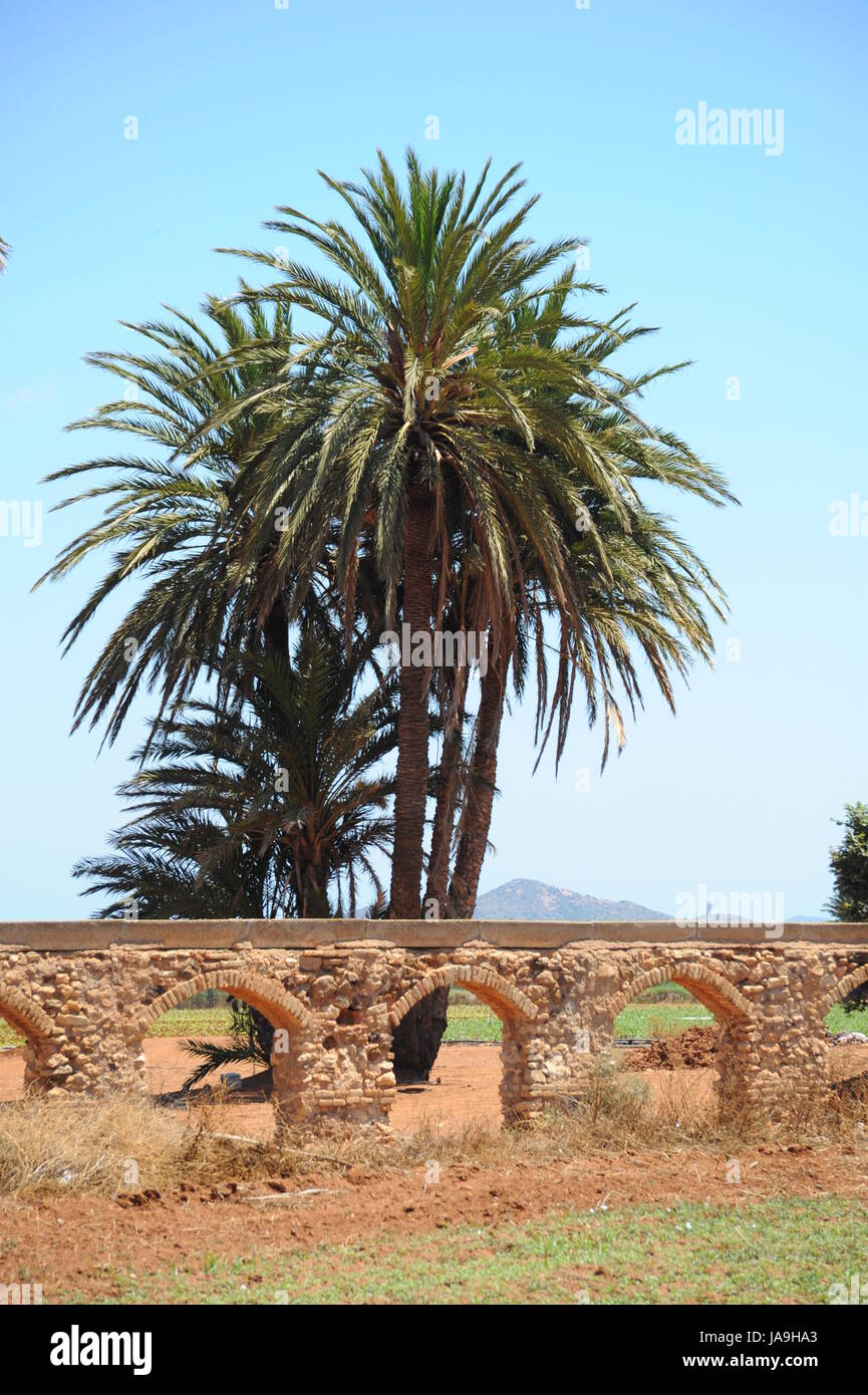 historical, tree, trees, fountain, water wheel, pump, watering ...