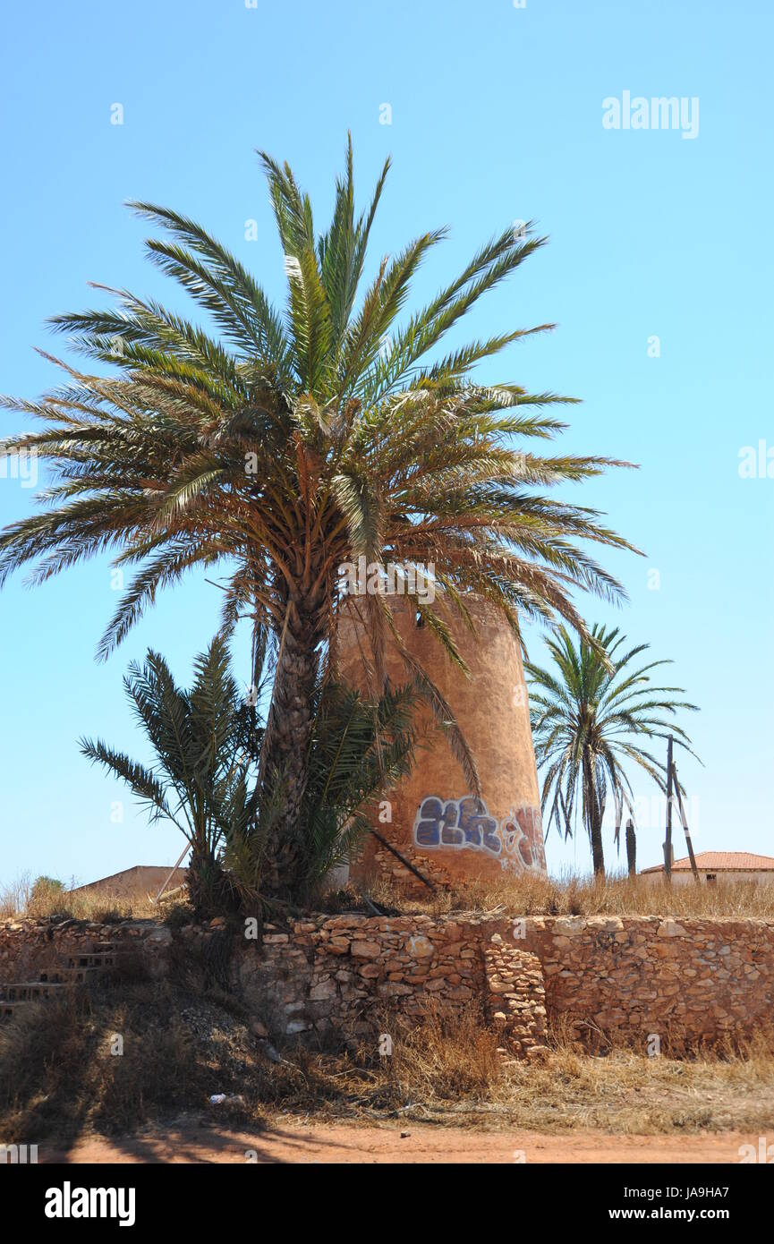 historical, tree, trees, fountain, water wheel, pump, water pump ...