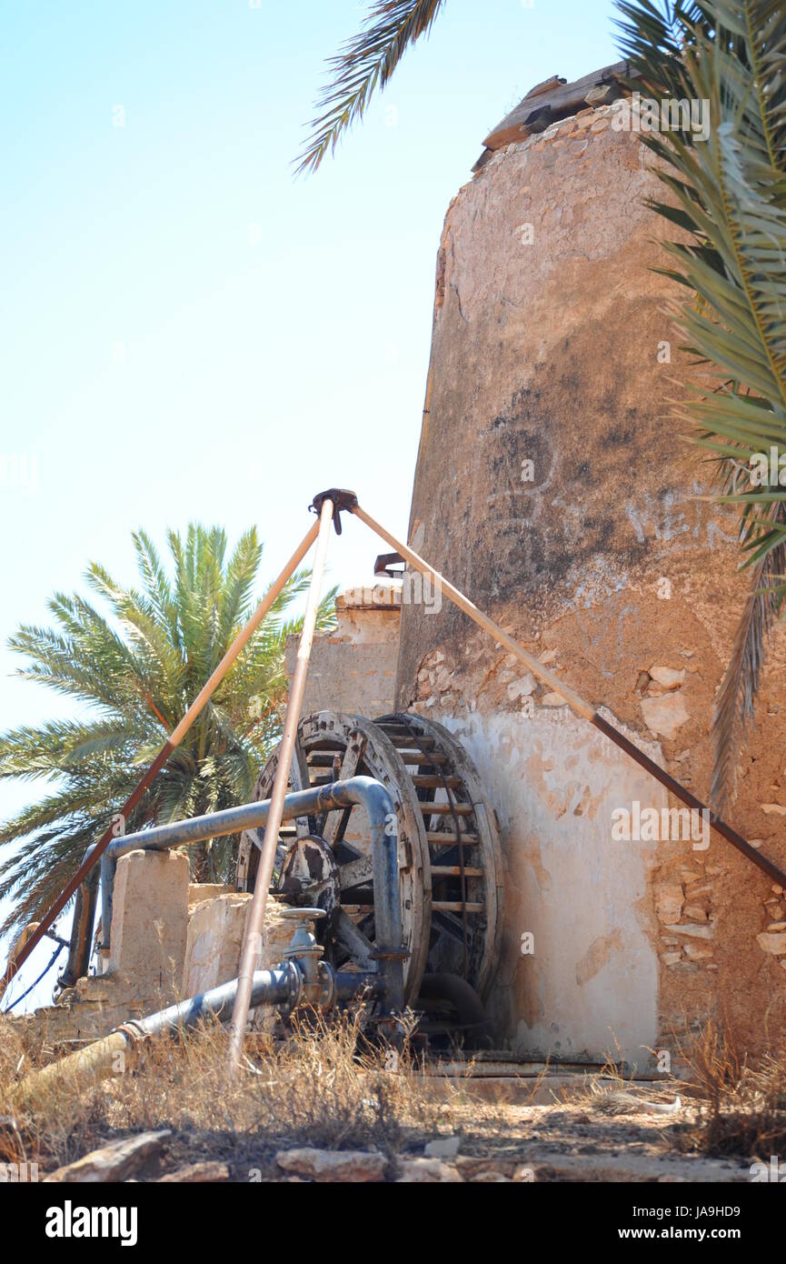 historical, tree, trees, fountain, water wheel, pump, watering ...