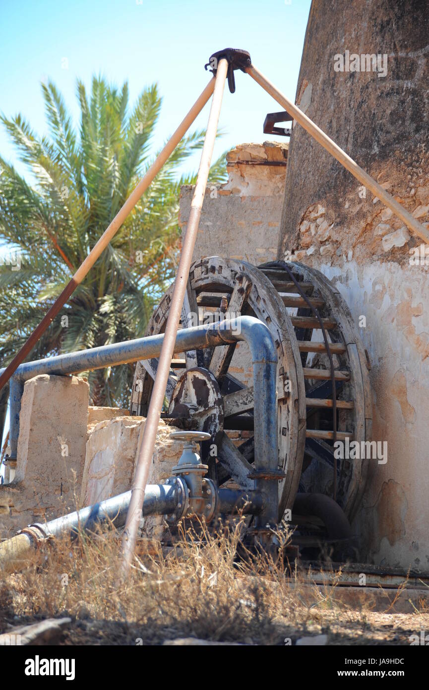 historical, tree, trees, fountain, water wheel, pump, watering ...