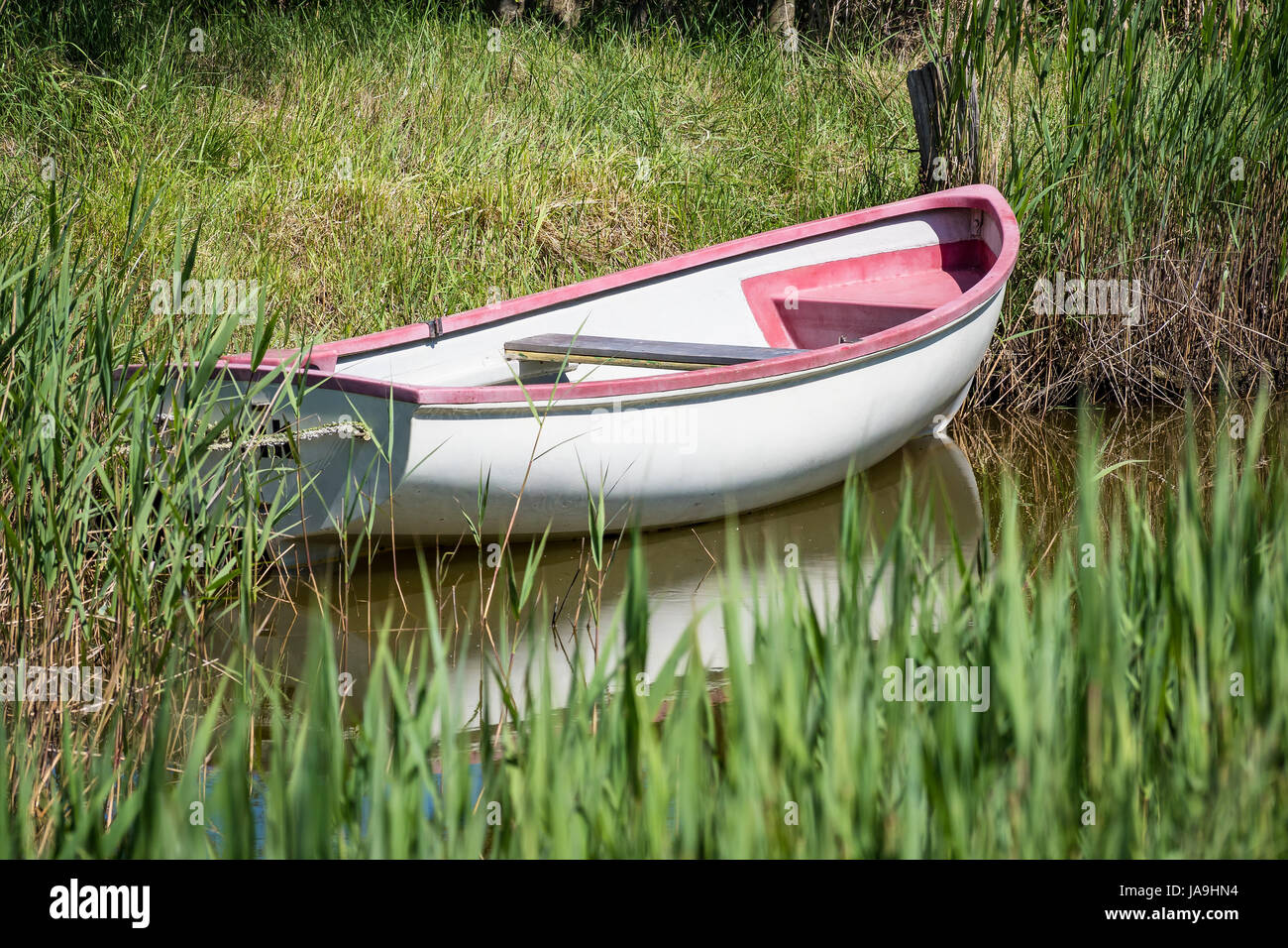 A single rowing boat in the reeds Stock Photo - Alamy