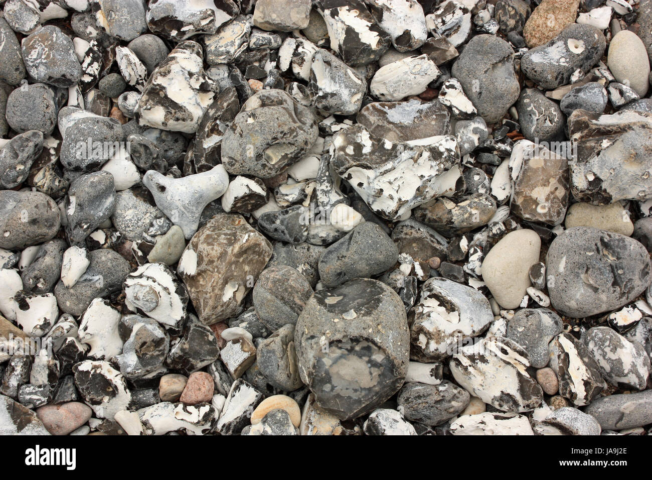 stone beach on the chalk cliffs coast Stock Photo - Alamy
