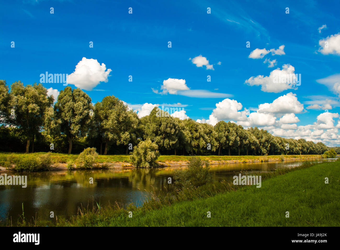 blue, tree, trees, belgium, landscape, scenery, countryside, nature ...
