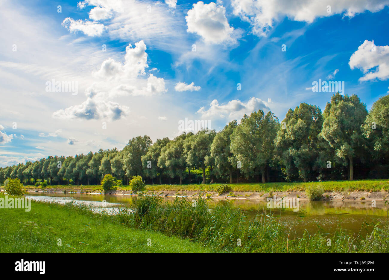 blue, tree, trees, belgium, landscape, scenery, countryside, nature ...