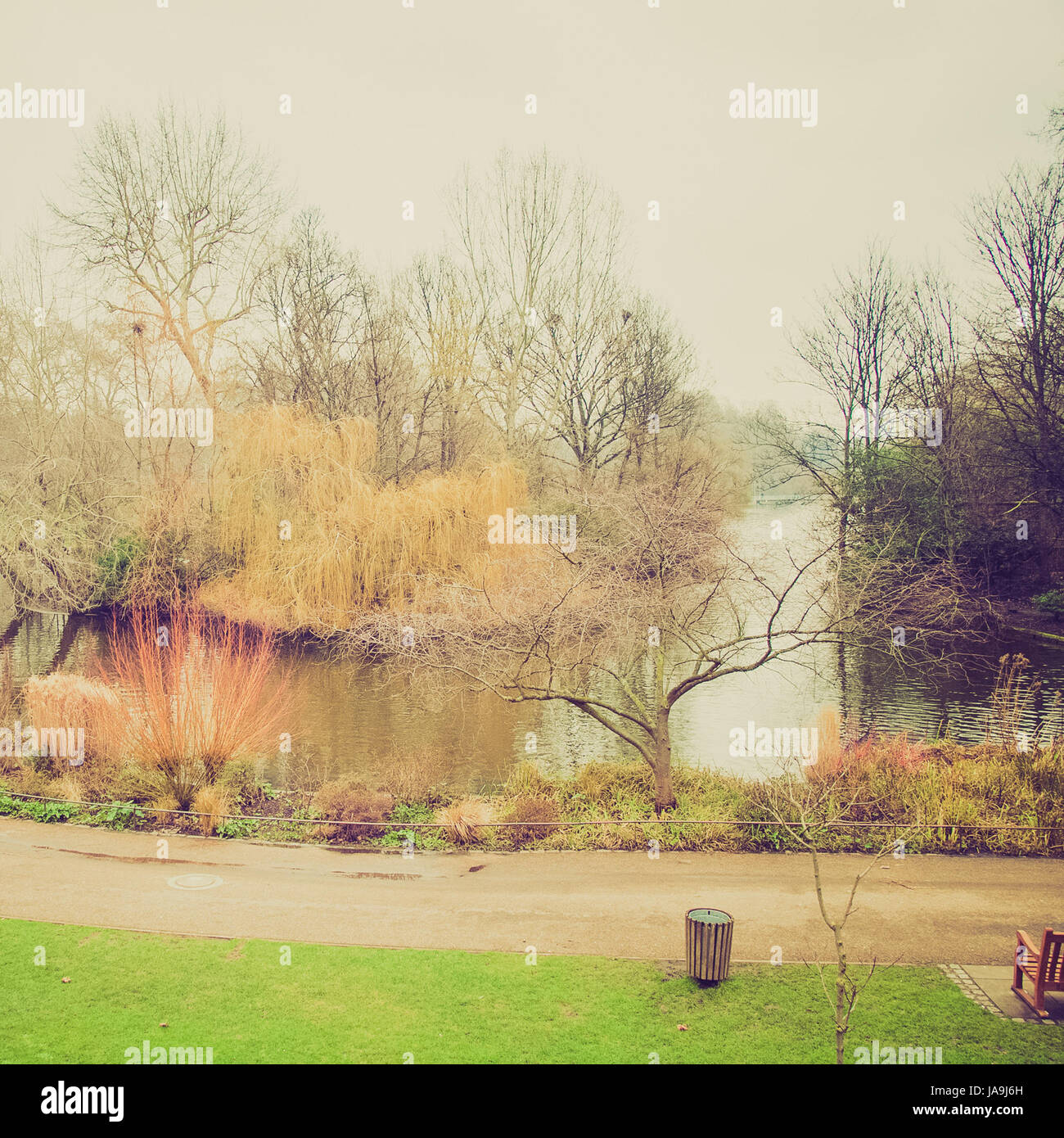 city, town, tree, trees, park, garden, blank, european, caucasian ...