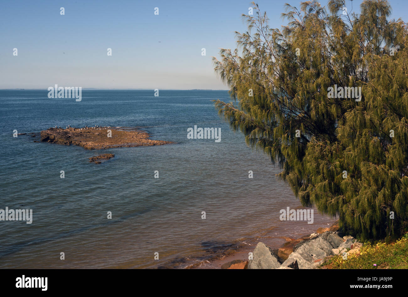 Woody Point, Redcliffe, Australia: Rocky outcrop with sea birds, in ...