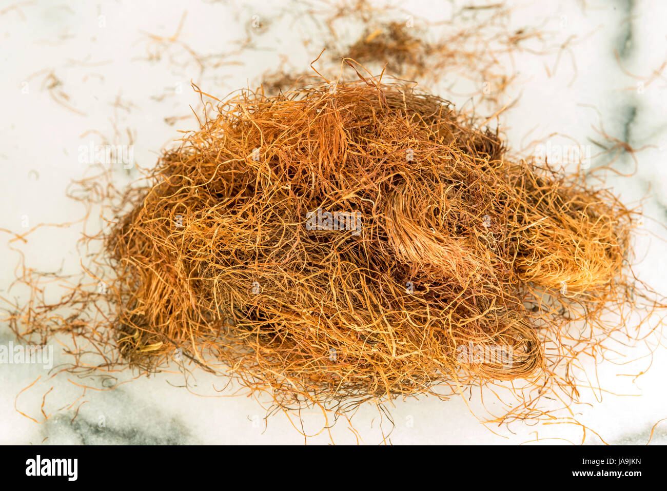 Maisgriffel High Resolution Stock Photography and Images - Alamy