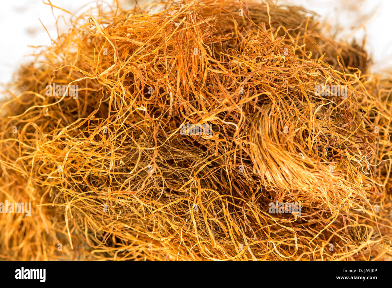 Maisgriffel hi-res stock photography and images - Alamy