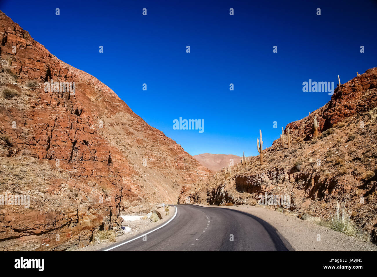 Empty road through dry, cactus ridden landscape in the northern part of ...