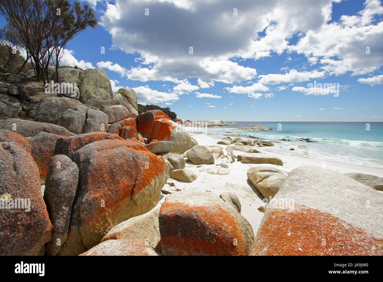beach, seaside, the beach, seashore, australia, coast, scenery ...