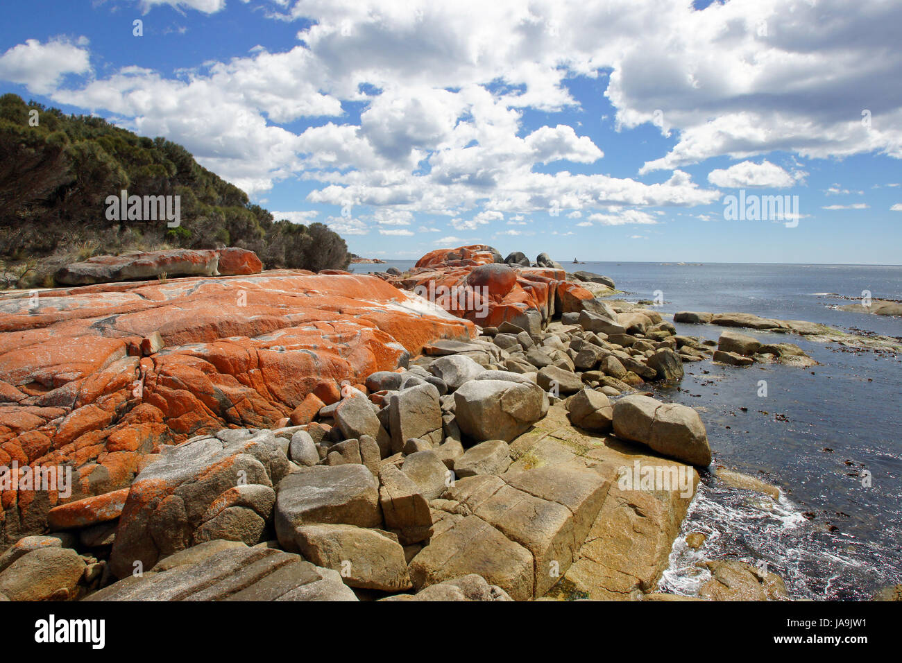 beach, seaside, the beach, seashore, australia, coast, scenery ...