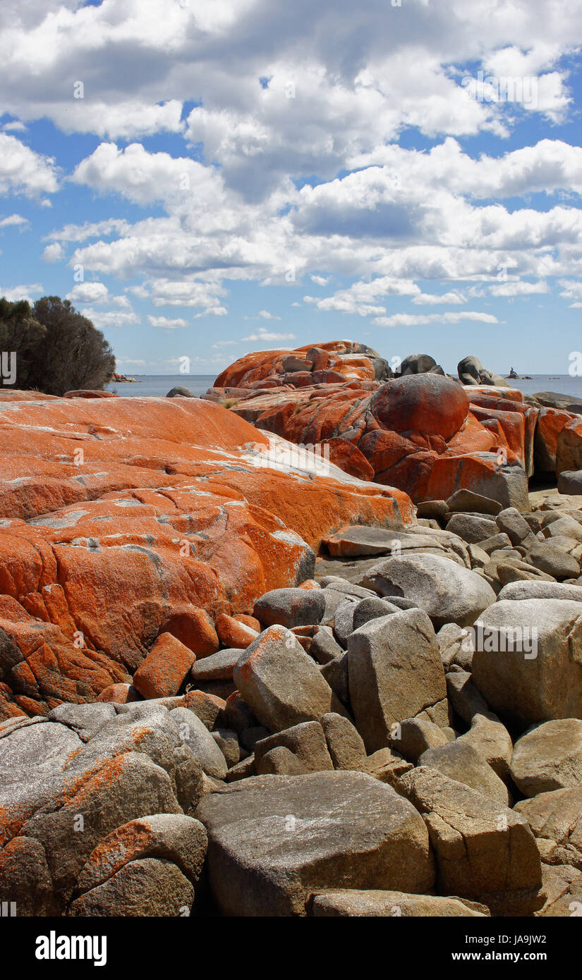 beach, seaside, the beach, seashore, australia, coast, scenery ...