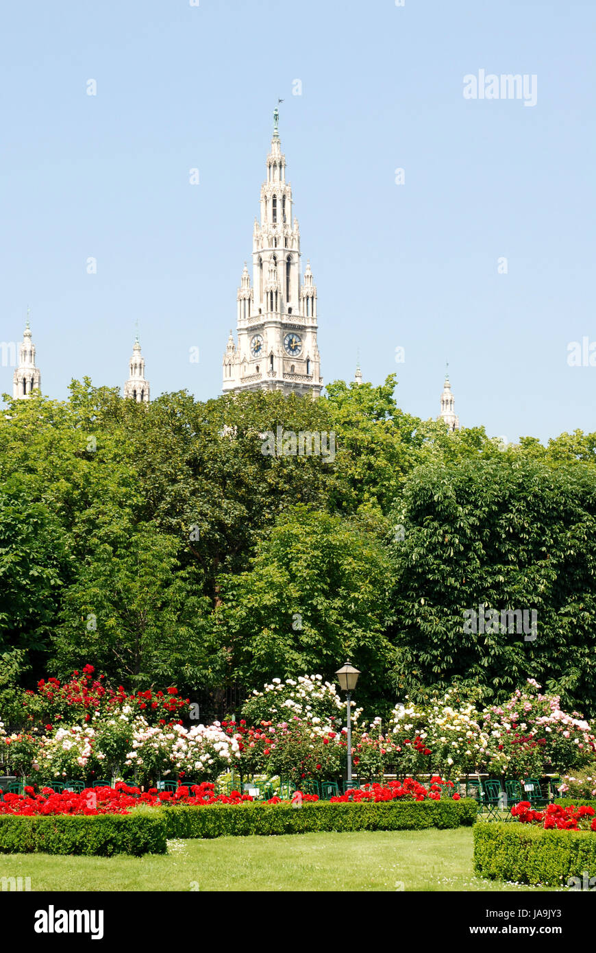 travel, tree, park, garden, flower, plant, rose, tourism, vienna, flora ...