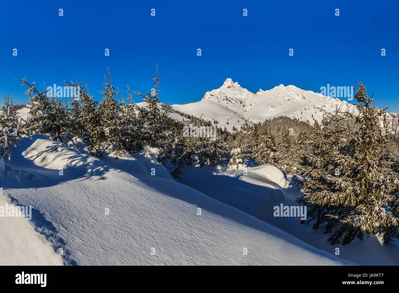winter, cold, alpine, blizzard, landscape, scenery, countryside, nature ...
