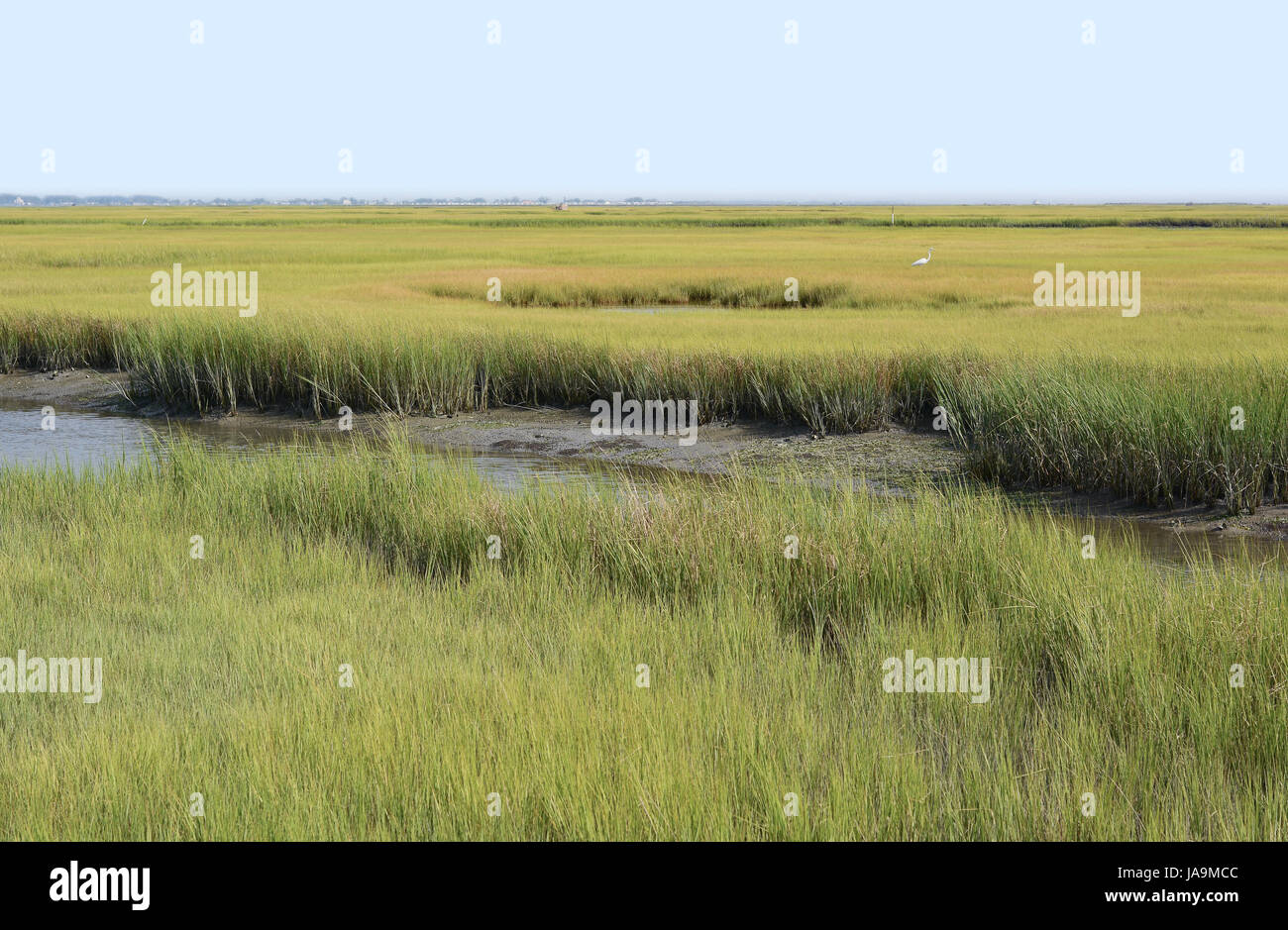 environment, enviroment, ecology, landscape, scenery, countryside ...