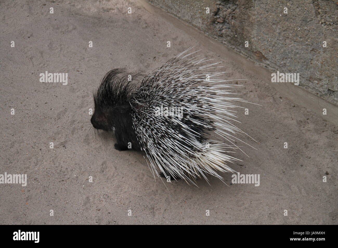 Super location hi-res stock photography and images - Alamy