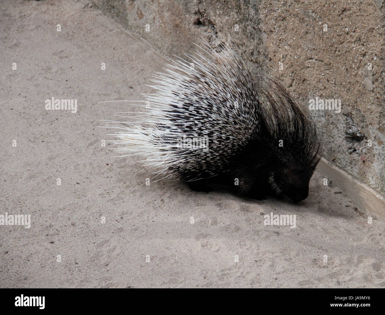 Super location hi-res stock photography and images - Alamy