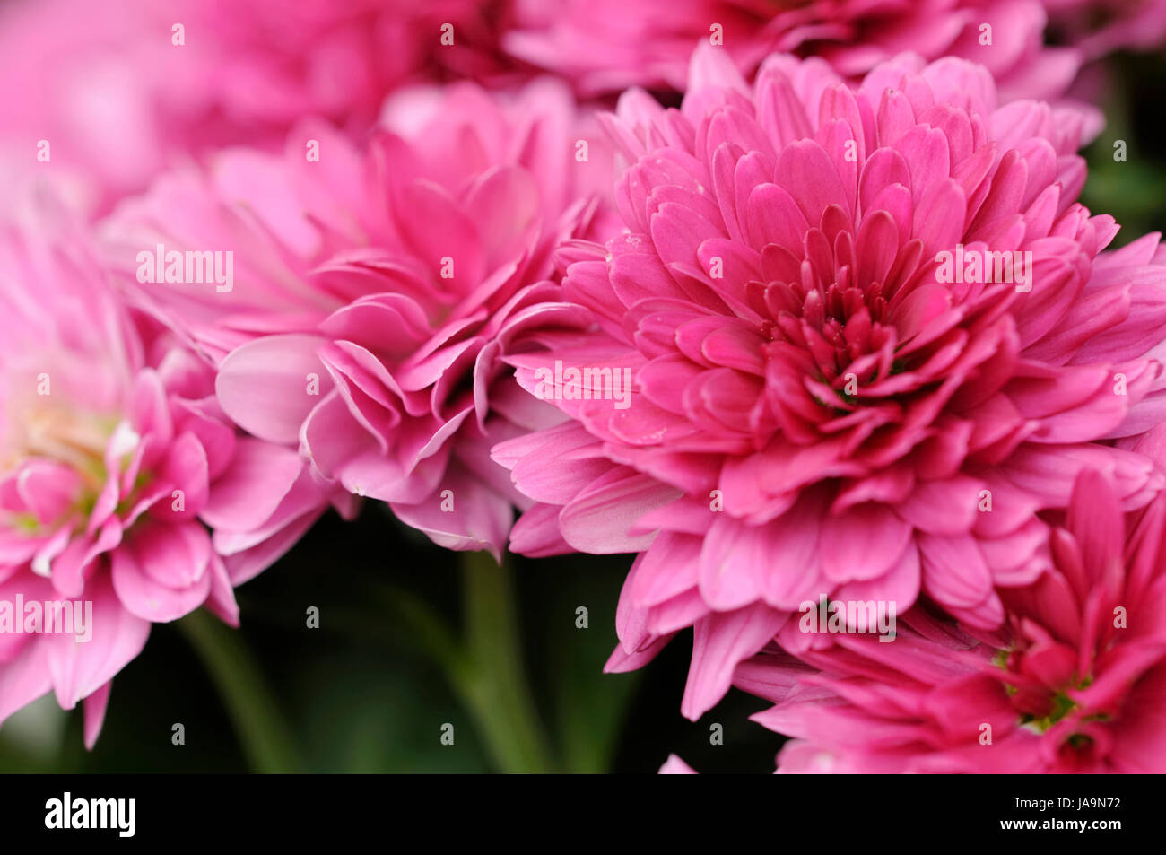 Astern hi-res stock photography and images - Alamy