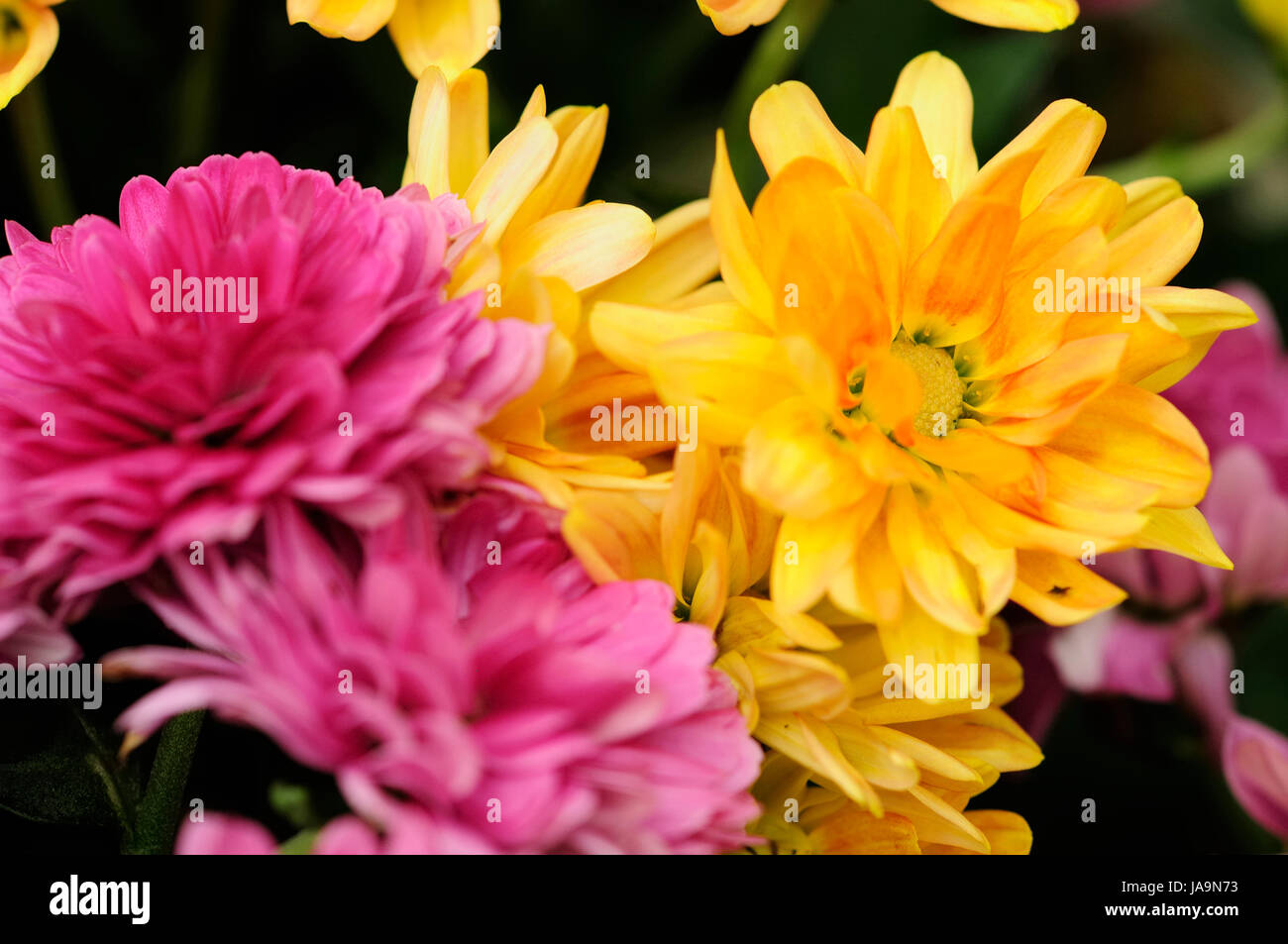 Astern hi-res stock photography and images - Alamy