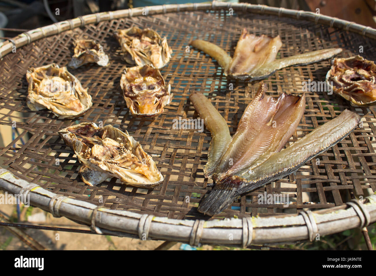food, aliment, fish, dry, dried up, barren, fillet, stuffed, animals ...