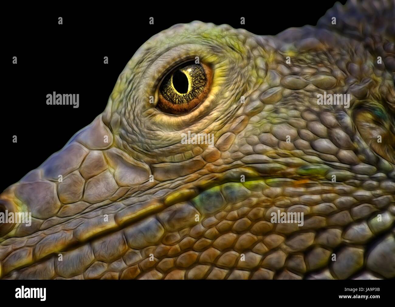 eye of an iguana in detail Stock Photo - Alamy