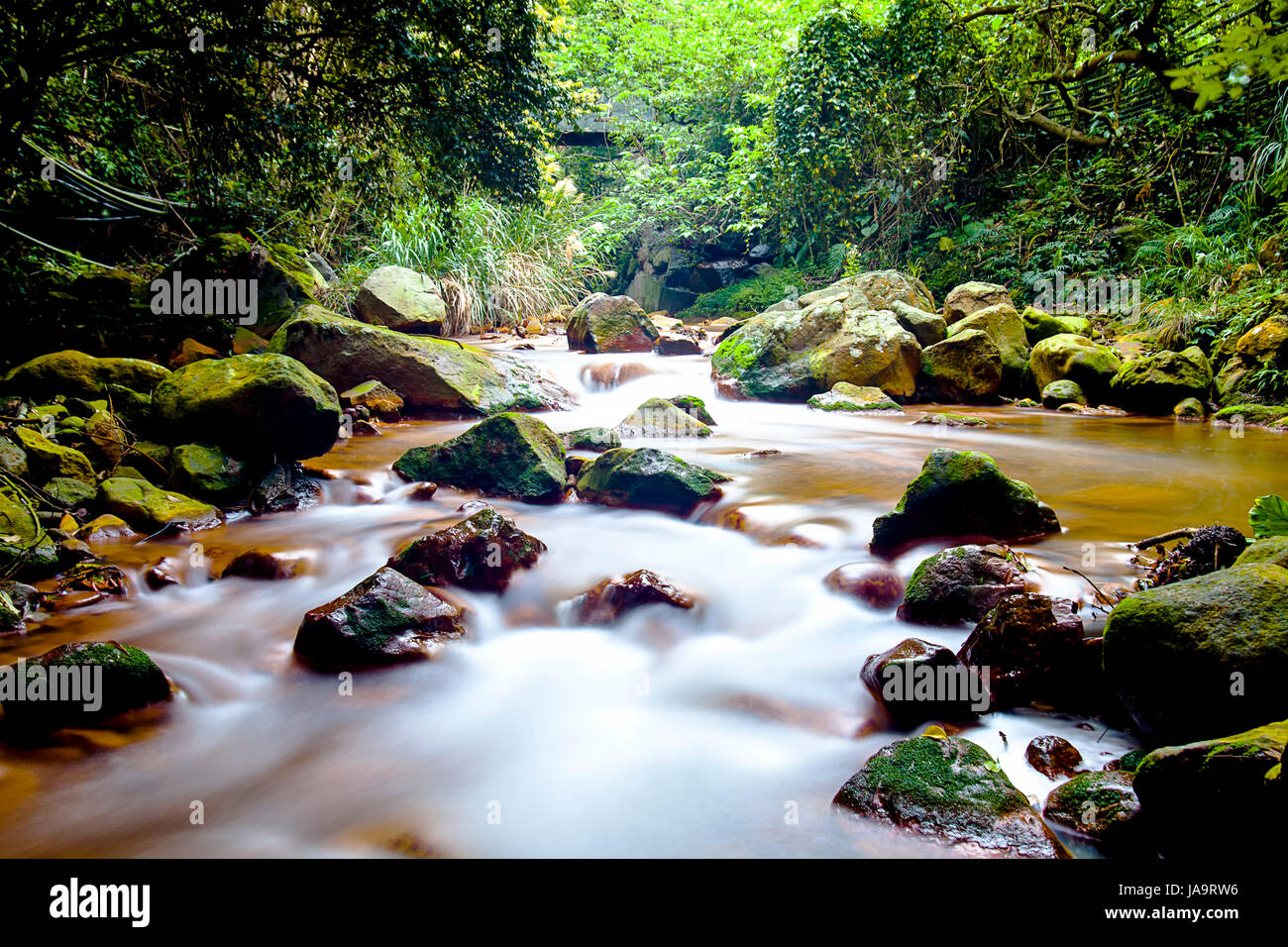 blue, beautiful, beauteously, nice, environment, enviroment, tree, flow ...
