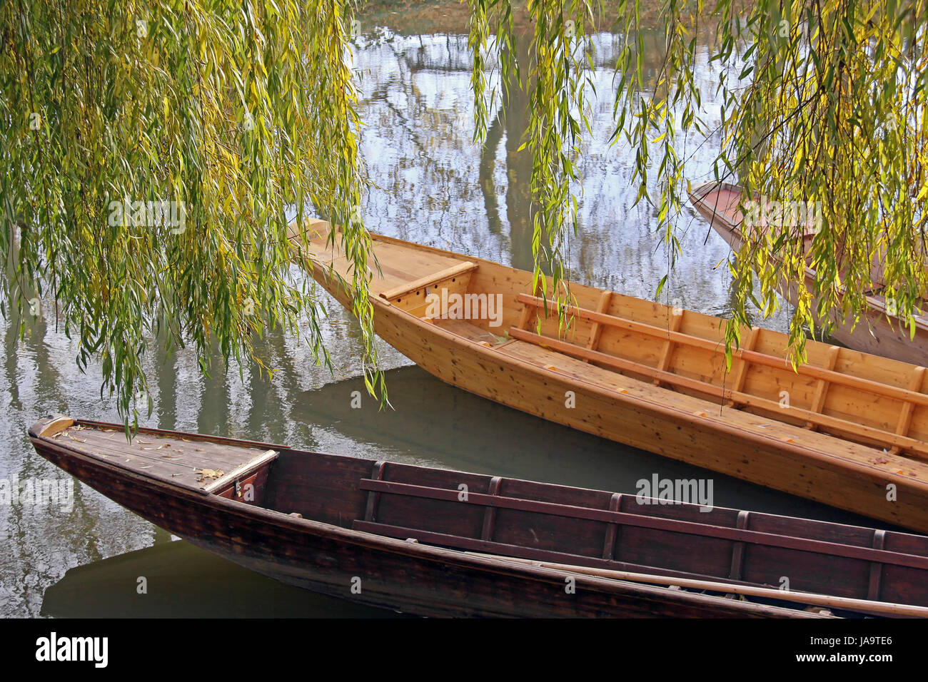 old town, weeping willow, old town, mirroring, boats, sailing boat ...
