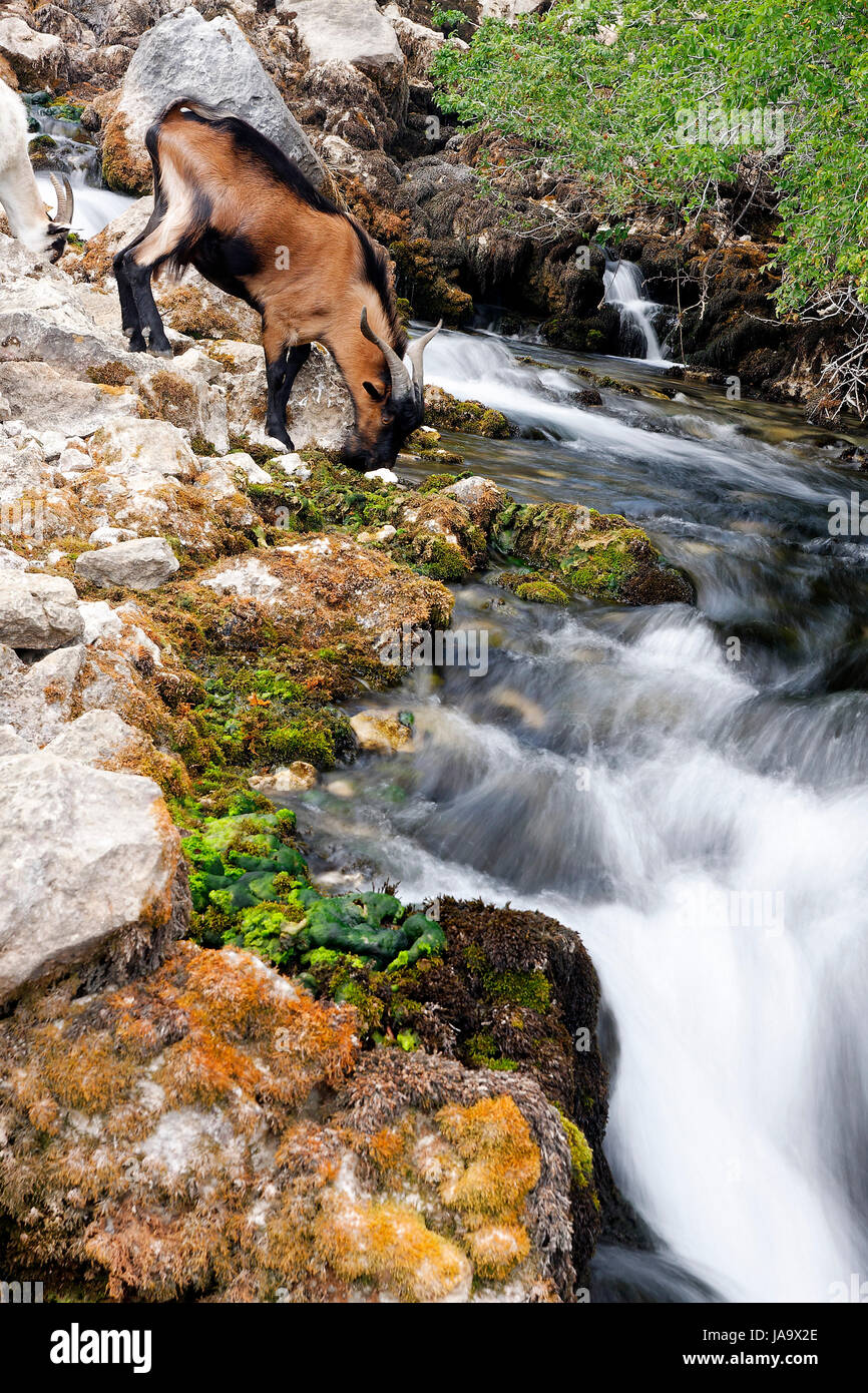 Source of the Krupa River in Croatia Stock Photo - Alamy