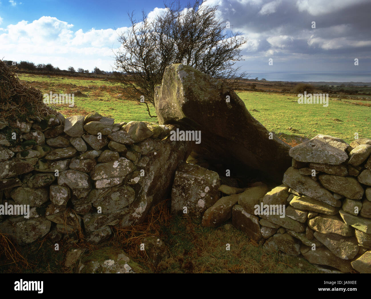 View SW of Bron y Foel Isaf burial chamber, Ardudwy, Snowdonia: remains ...
