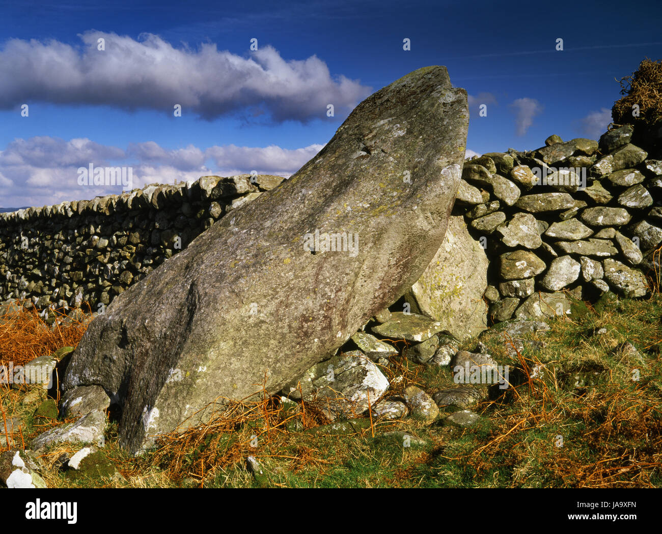 View NE of Bron y Foel Isaf burial chamber, Ardudwy, Snowdonia: remains ...