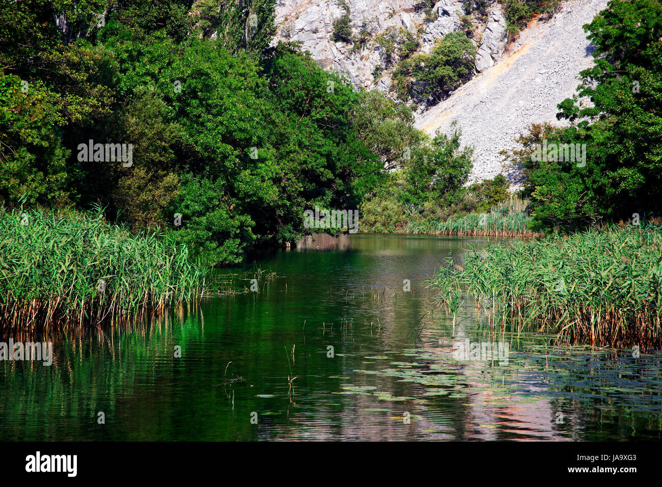 Wetland vegetation and rocks on the Krupa River, Croatia Stock Photo ...