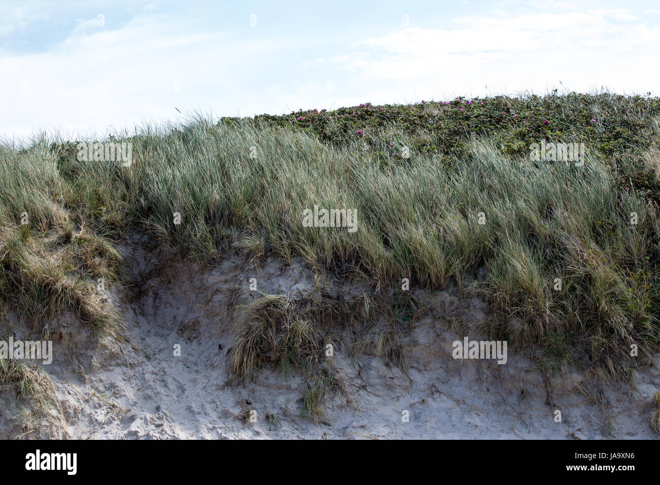 sylt, North Sea island, beach, seaside, the beach, seashore, water ...